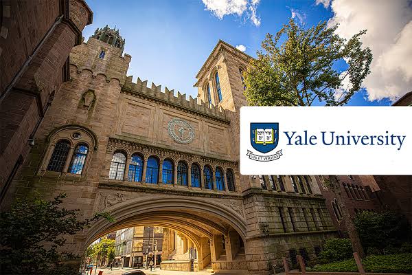2025/2026 Ongoing Yale University Scholarships | Ogbeta